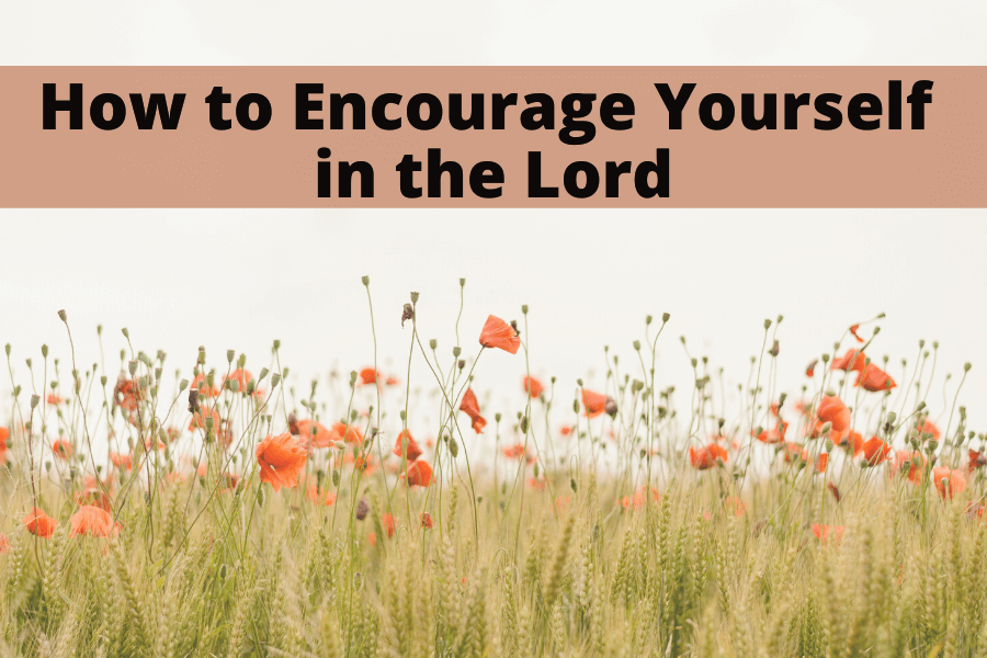 How to Encourage Yourself in the Lord - Berries and Grace